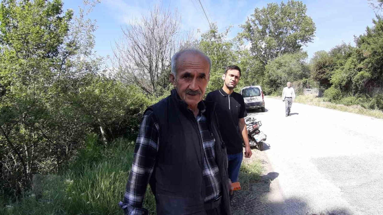 Aracın çarptığı karaca telef oldu - Son Dakika Kırşehir Haberleri